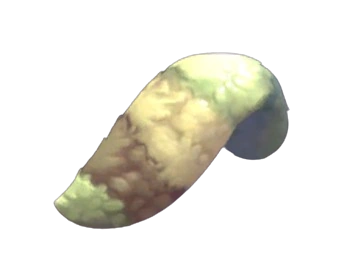 Punch Rat Tail | Witch Spring Wiki | Fandom