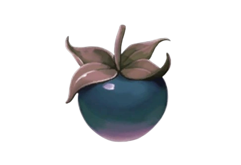 Aged Lalaque Berry | Witch Spring Wiki | Fandom