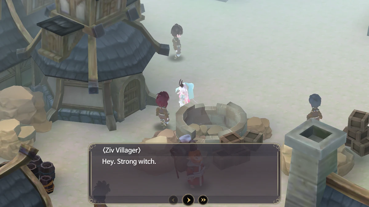 Dark Company | Witch Spring Wiki | Fandom