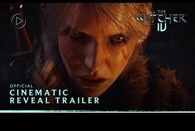 witcher 2 troll problem