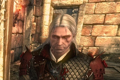 Witcher 2 Ves Ending