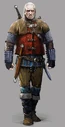 Vesemir | The Witcher Wiki | Fandom