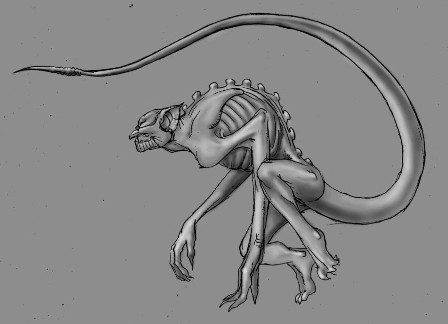 Hafnir | Witcher Wiki | Fandom