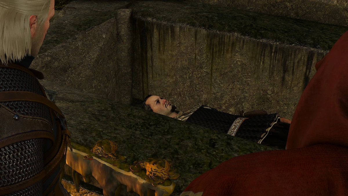 A Tome Entombed | Witcher Wiki | Fandom