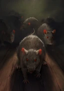 Rat | Witcher Wiki | Fandom