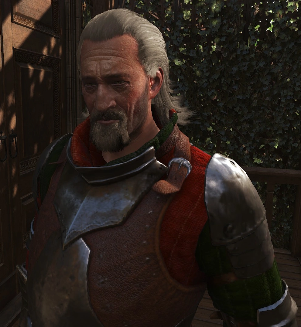 La Valette Guard Captain | Witcher Wiki | Fandom