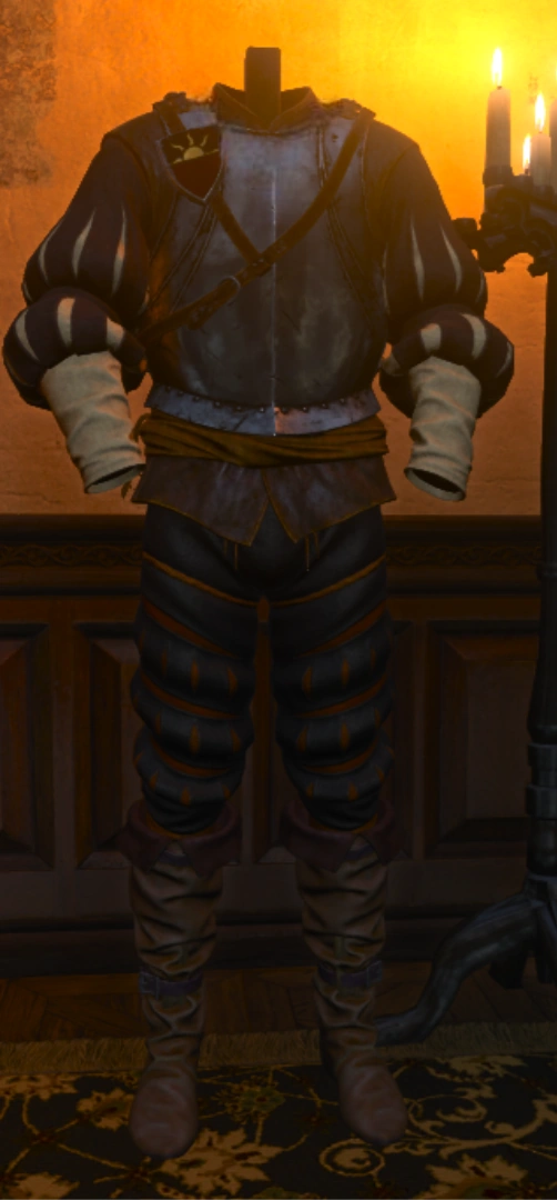 Toussaint Color Guardsman's armor | Witcher Wiki | Fandom