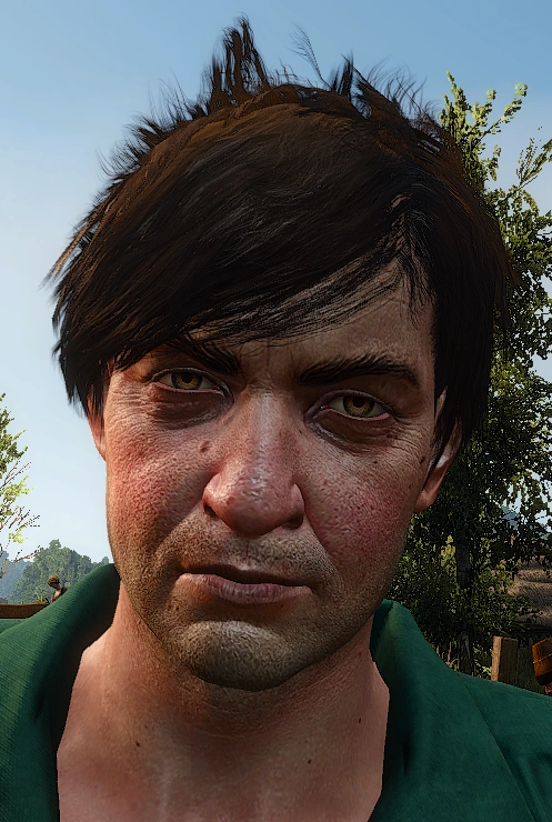 Napp | Witcher Wiki | Fandom