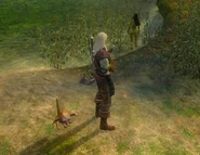 Mamune | Witcher Wiki | Fandom