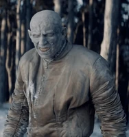 Rare Species | Witcher Wiki | Fandom