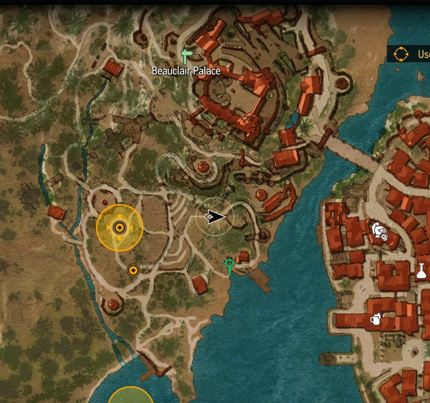 Lost ring | Witcher Wiki | Fandom