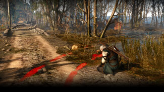 Witcher Senses | Witcher Wiki | Fandom