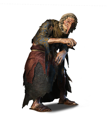 Wicked Witch | Witcher Wiki | Fandom
