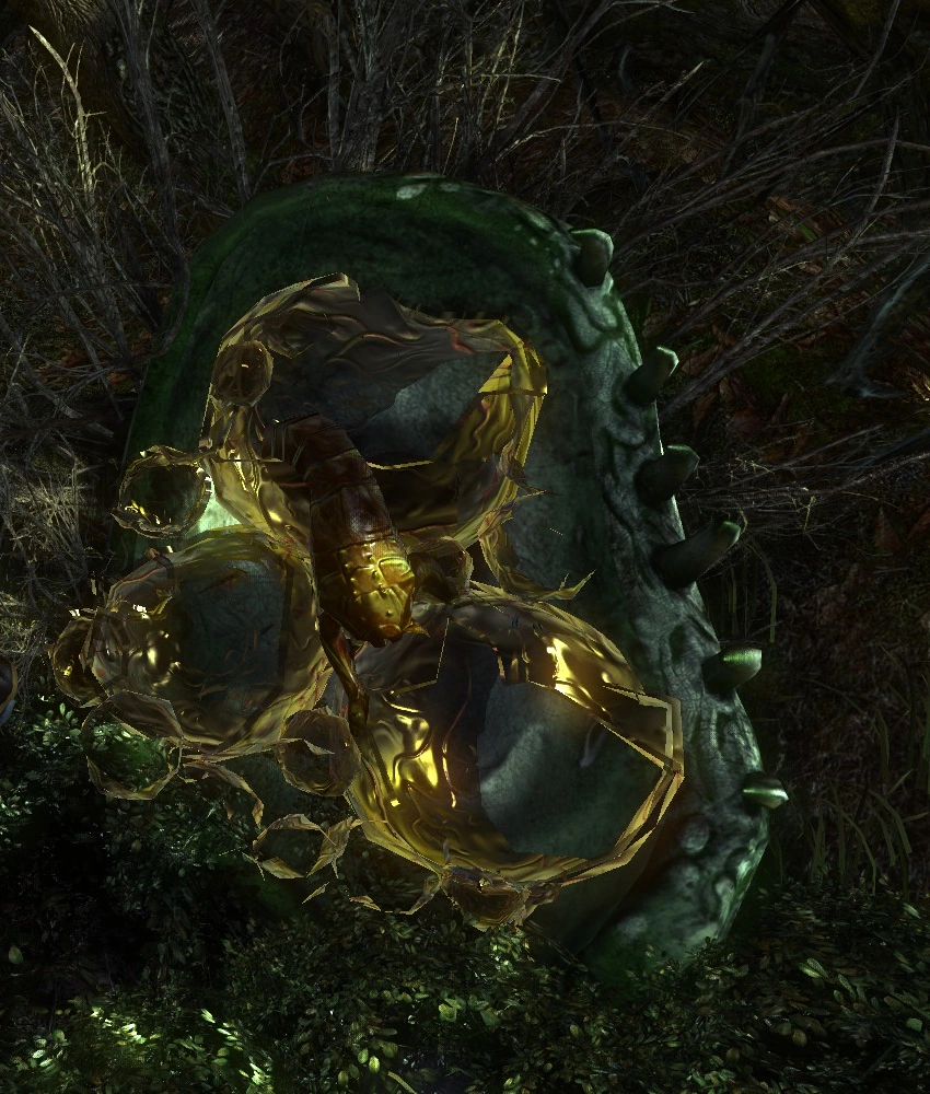 Endrega cocoon | Witcher Wiki | Fandom