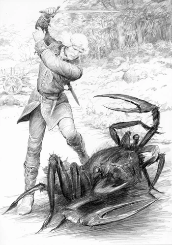 Idr | Witcher Wiki | Fandom