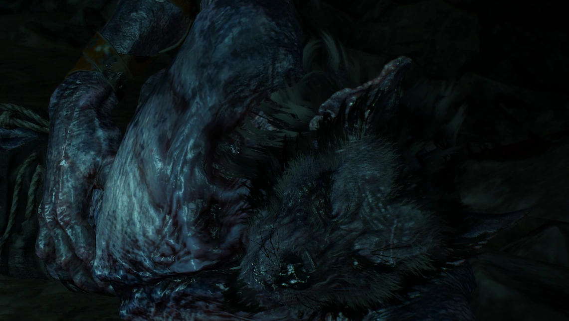 In Wolf's Clothing | Witcher Wiki | Fandom