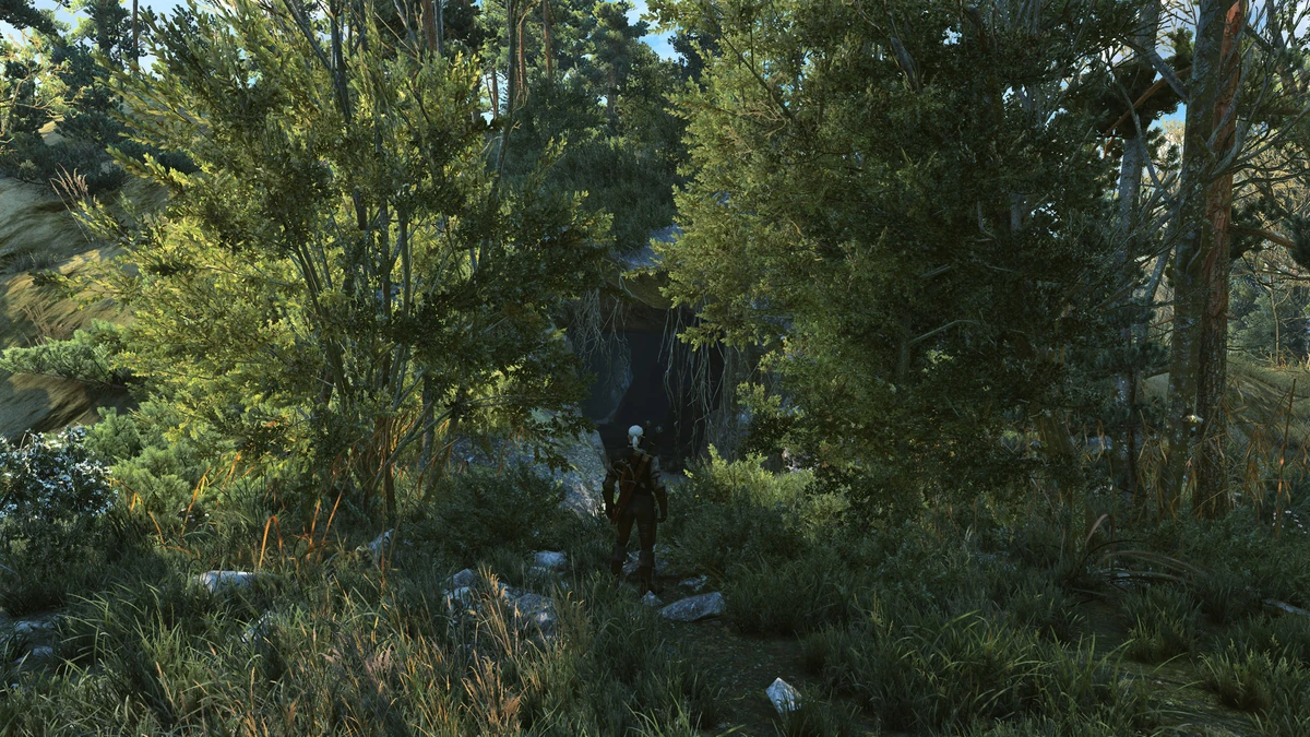 Grotto (Velen) | Witcher Wiki | Fandom