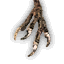 Harpy claws | Witcher Wiki | Fandom