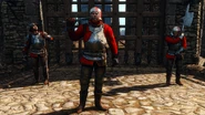 Royal Redanian Army | Witcher Wiki | Fandom