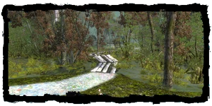 Nonhuman camp | Witcher Wiki | Fandom