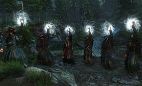 Druid | Witcher Wiki | Fandom