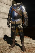 Impera Brigade armor | Witcher Wiki | Fandom