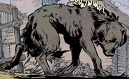 Dog | Witcher Wiki | Fandom