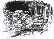 Idr | Witcher Wiki | Fandom