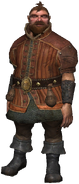Dwarf | Witcher Wiki | Fandom