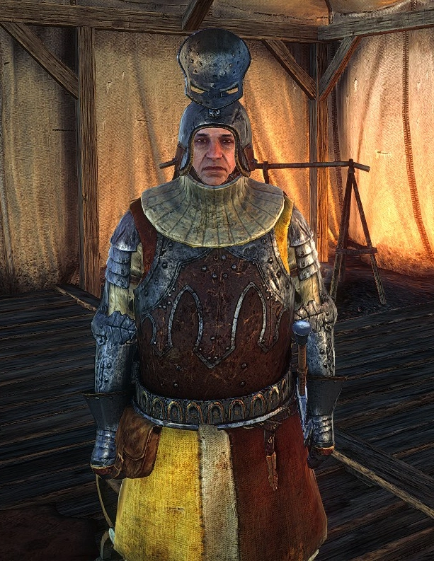 Roderick of Daevon | Witcher Wiki | Fandom