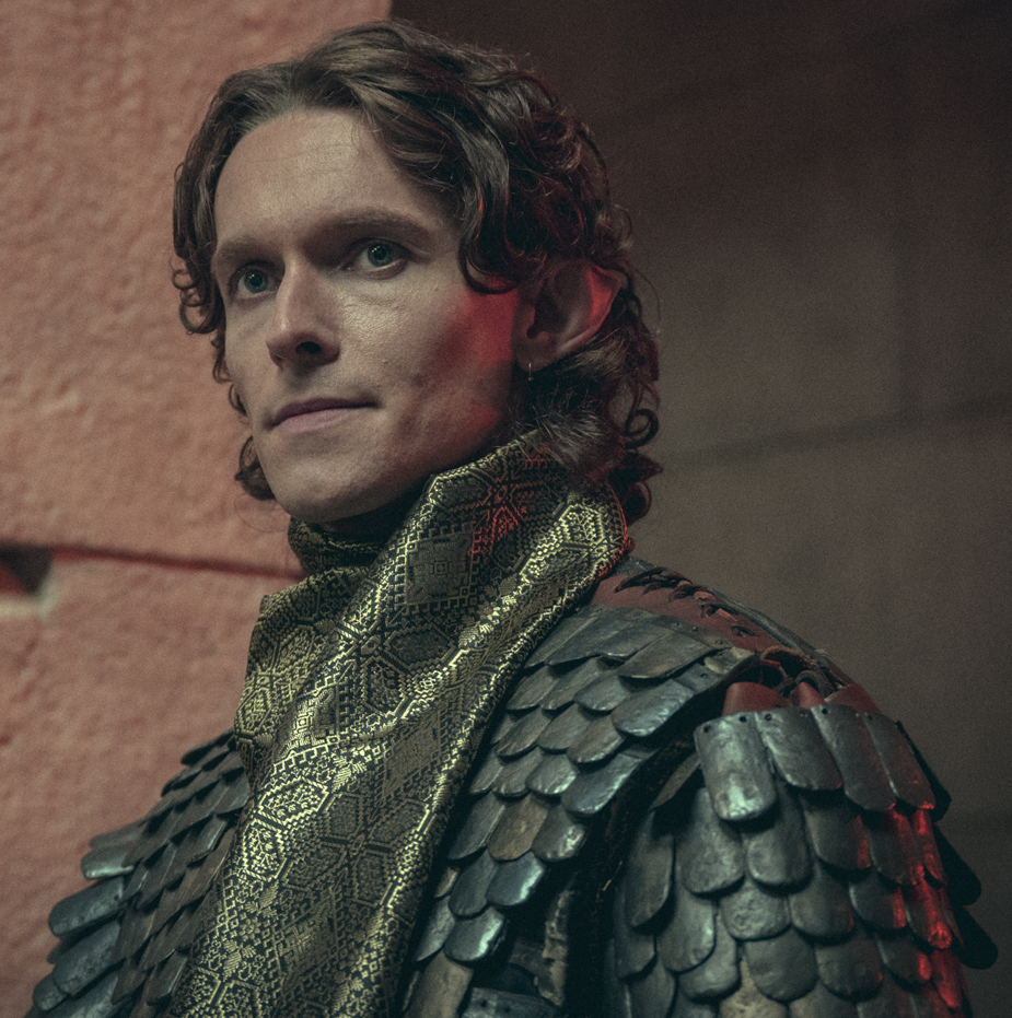 Eredin Bréacc Glas/Netflix series | Witcher Wiki | Fandom