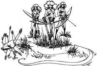 Vypper | Witcher Wiki | Fandom