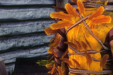 winter solstice witcher 2