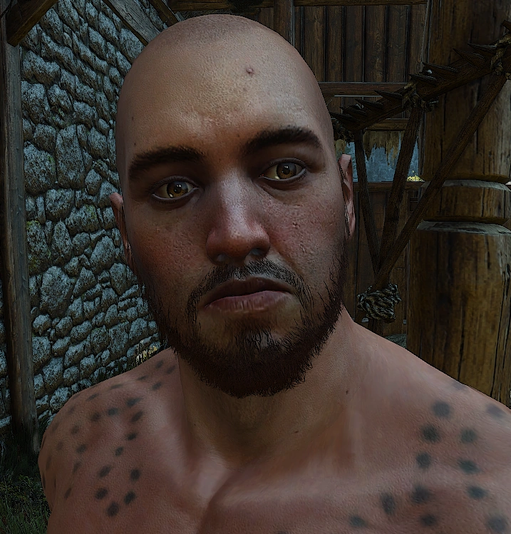 Valgard | Witcher Wiki | Fandom