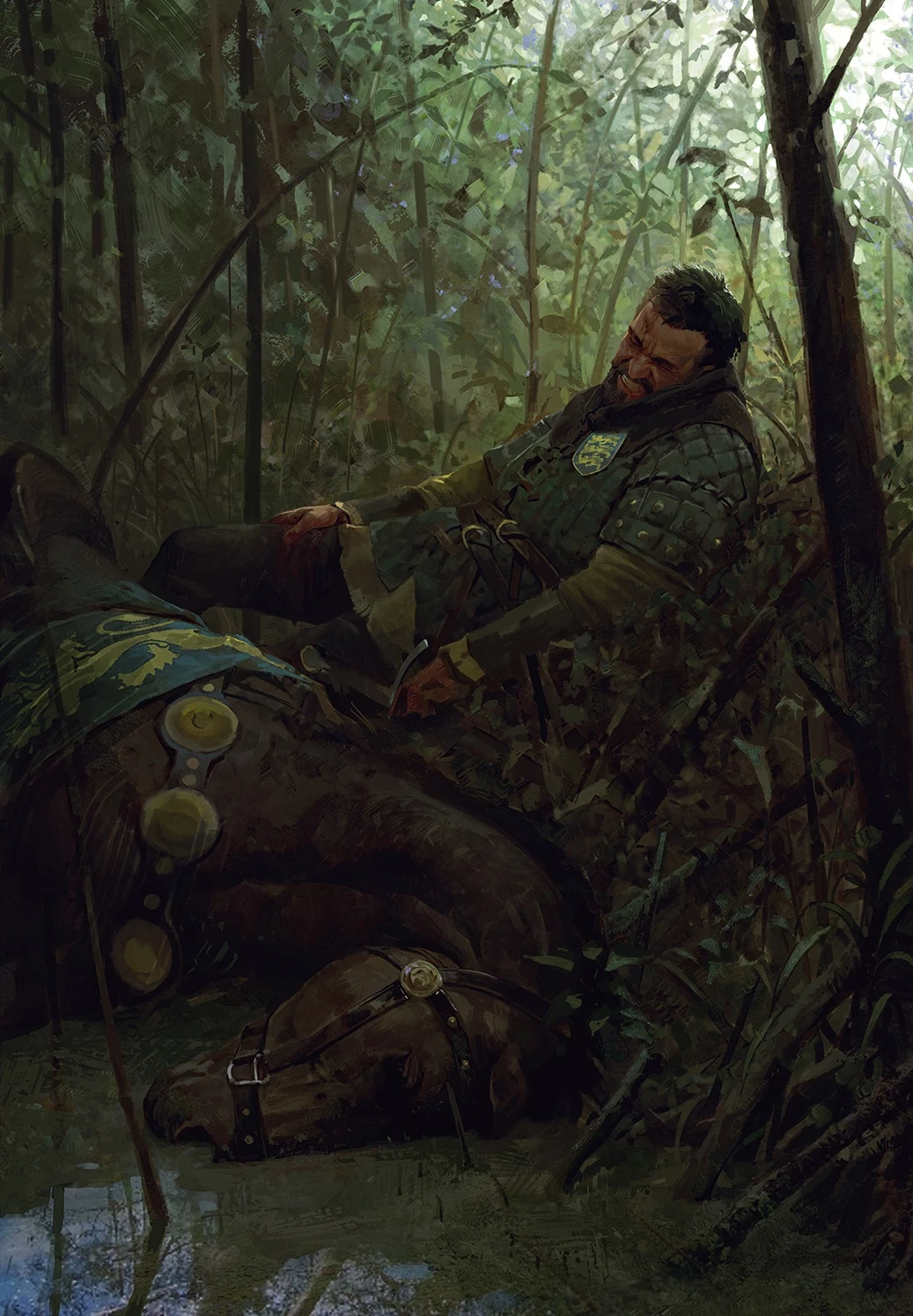 Roegner of Ebbing | Witcher Wiki | Fandom