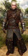 Bear School Gear | Witcher Wiki | Fandom