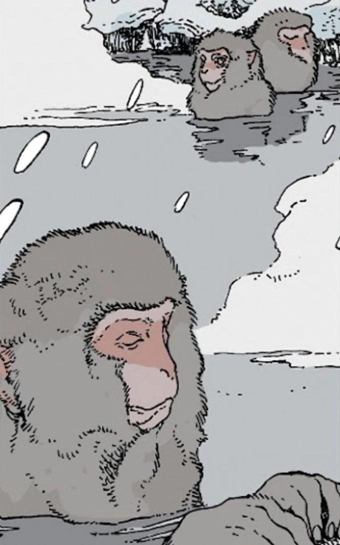 Monkey | Witcher Wiki | Fandom