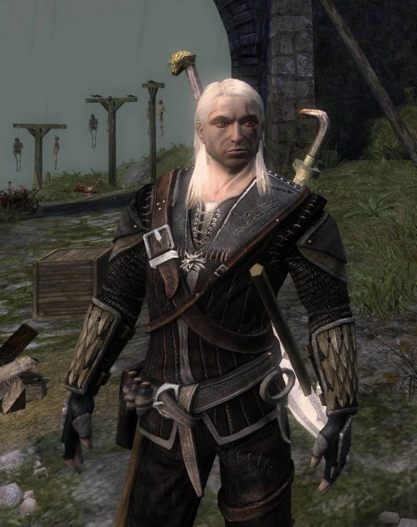 Raven's Armor of the Elves | Witcher Wiki | Fandom