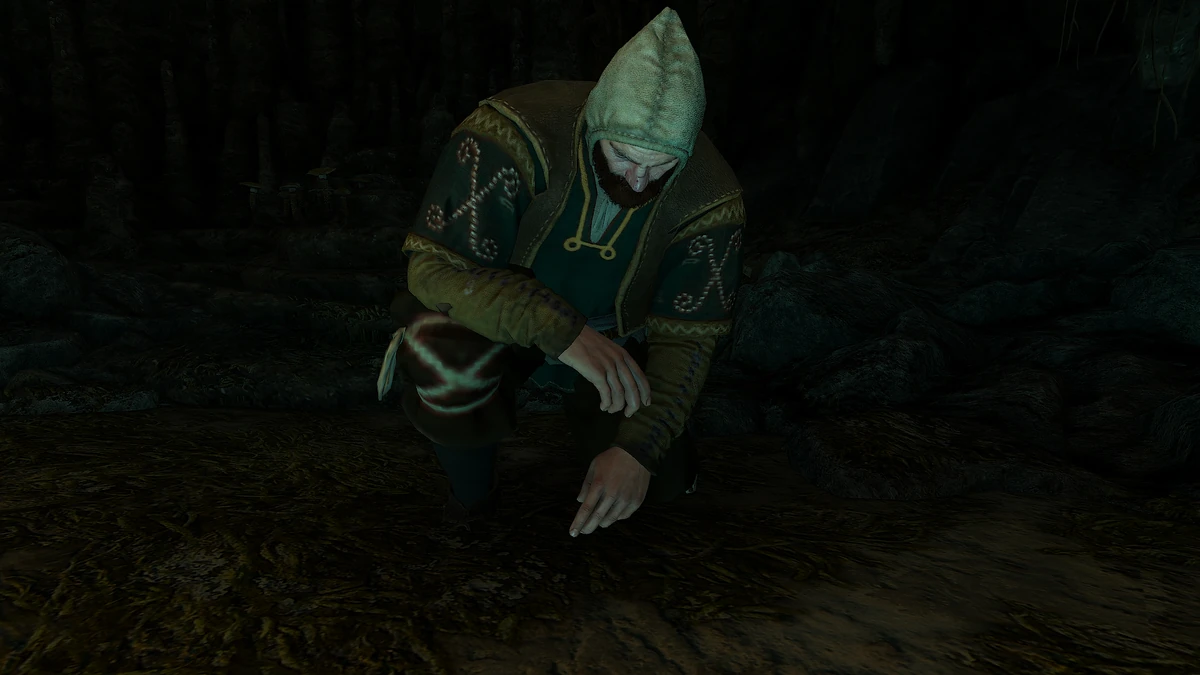 A Bard's Beloved | Witcher Wiki | Fandom