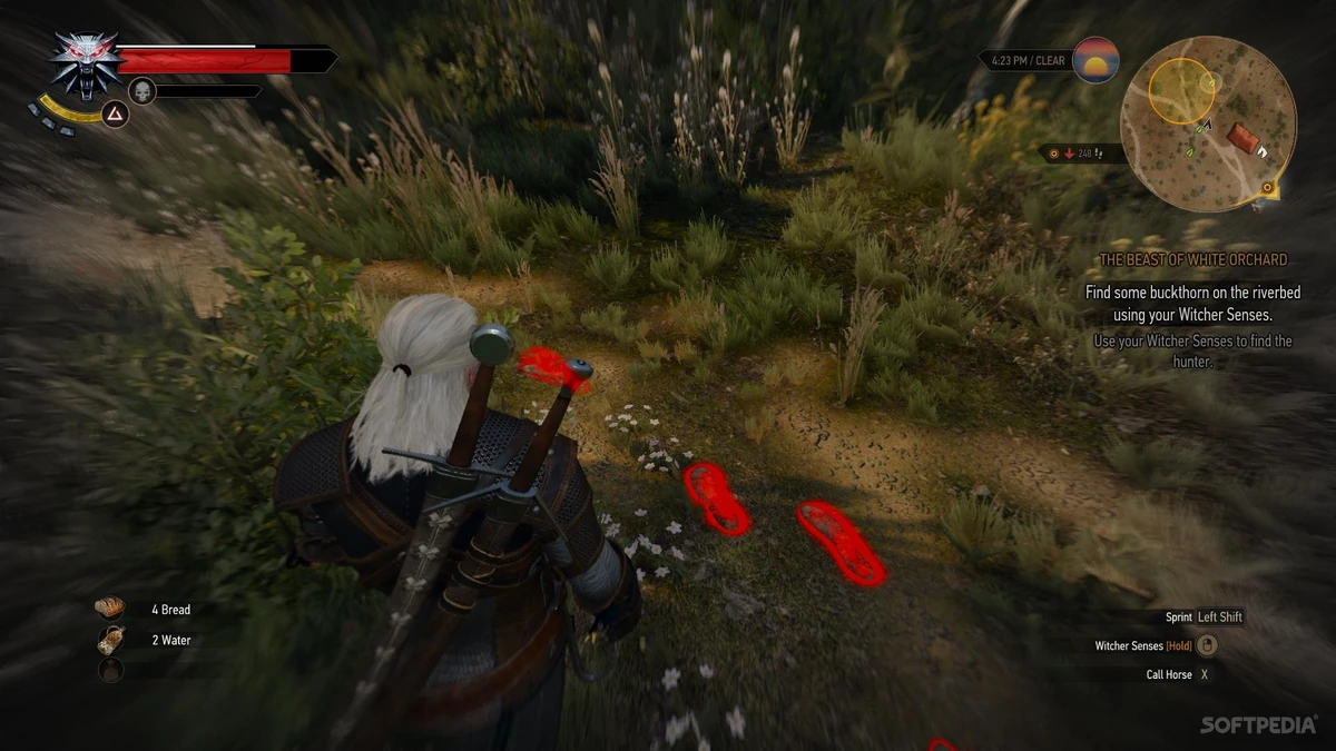 Witcher Senses | Witcher Wiki | Fandom