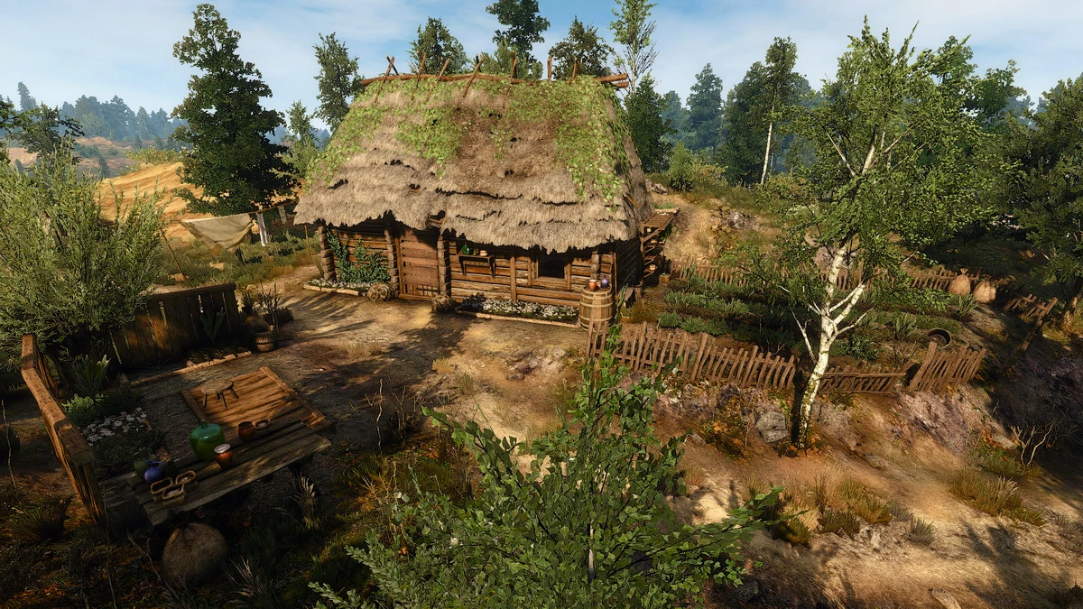 Tomira's hut | Witcher Wiki | Fandom