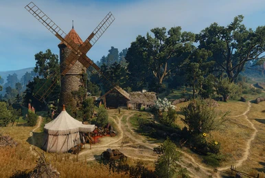 Blue Lotus Flower Witcher 3 | Best Flower Site