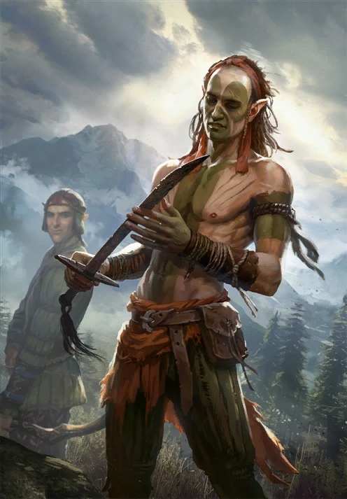 Scoia'tael Neophyte (Thronebreaker card) | Witcher Wiki | Fandom