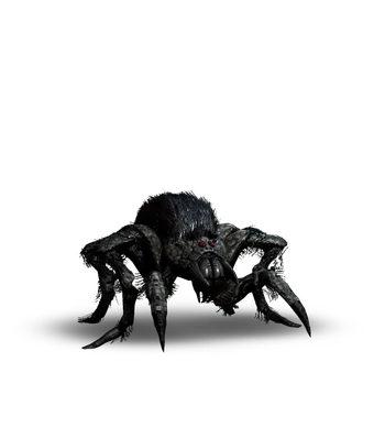 Arachnomorph | Witcher Wiki | Fandom