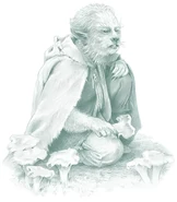 Werebbubb | Witcher Wiki | Fandom