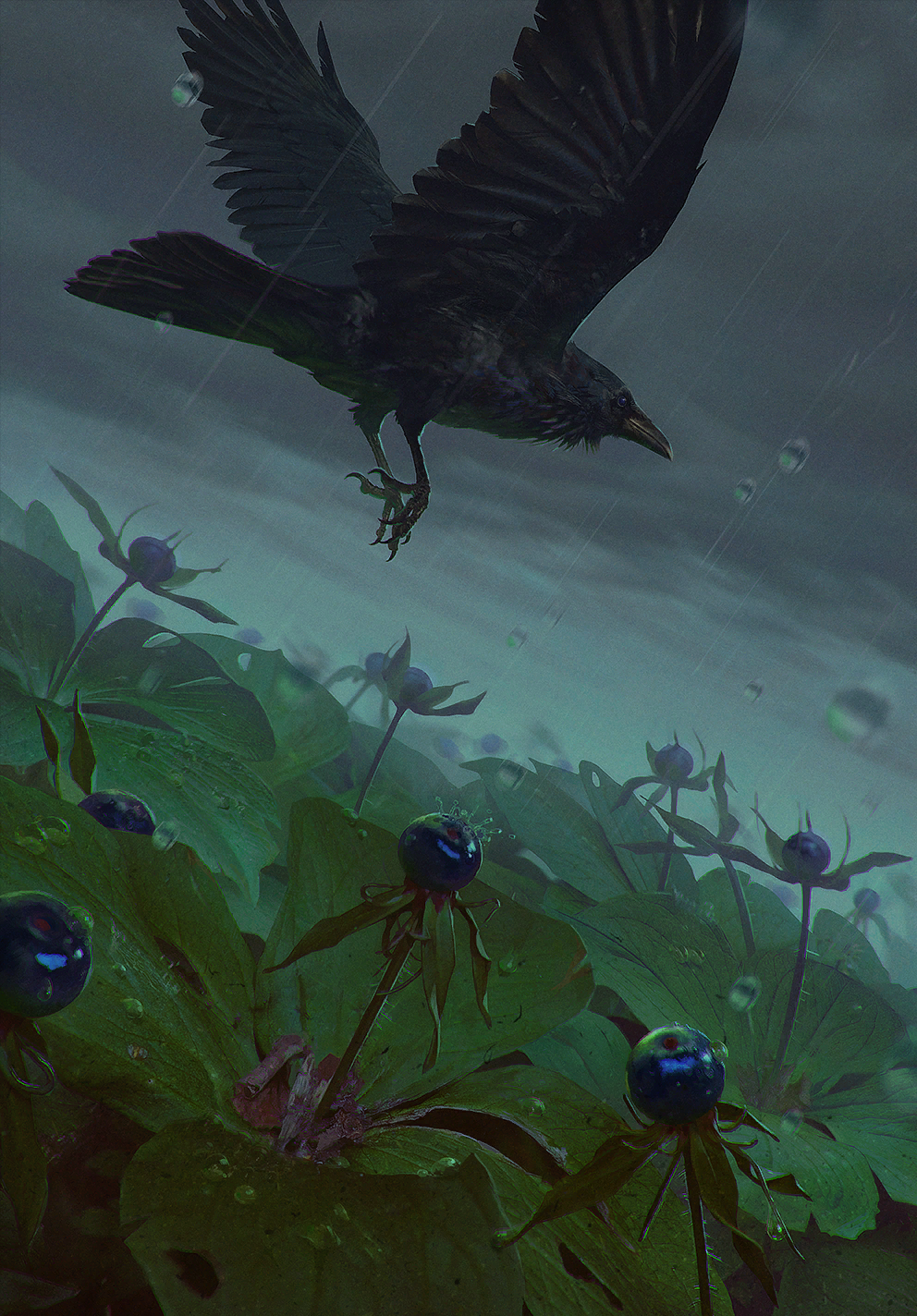 Crow's eye | Witcher Wiki | Fandom