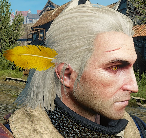 Feather from Vivienne | Witcher Wiki | Fandom