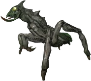 Frightener | Witcher Wiki | Fandom