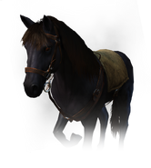 Sardinilla | Wiki The Witcher | Fandom