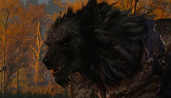 Berem | Witcher Wiki | Fandom